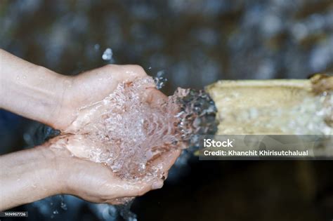 산에 신선하고 차갑고 음용수 인 물 마시는 봄 신선한 음용수 오염되지 않은 천연 샘물의 나무 파이프가있는 손 세계 물의 날과 물