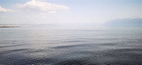 Home Cetr China Europe Tech Regulatory