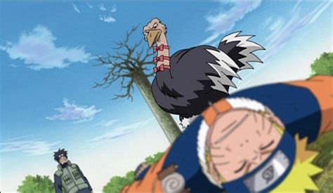 Viz Blog Dvd Naruto Set 15