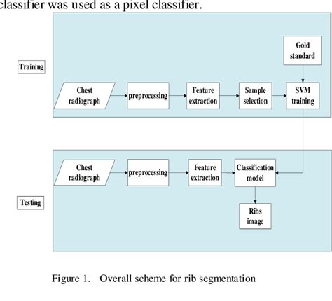 Figure 1 From Rib Segmentation In Chest Radiographs By Support Vector