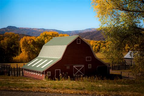 Beautifying Your Homestead Through Year Round Maintenance Homestead