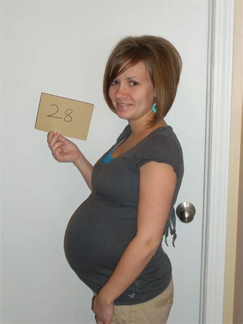 Diagram Diagram Of Six Months Pregnant Mydiagramonline