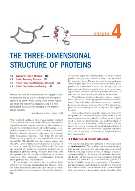 Pdf The Three Dimensional Structure Of Proteins