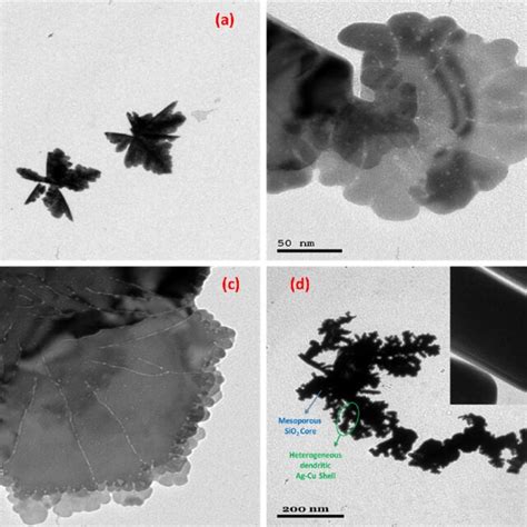 Xrd Pattern Of Synthesized Heterogeneous Dendritic Ag Cusio 2