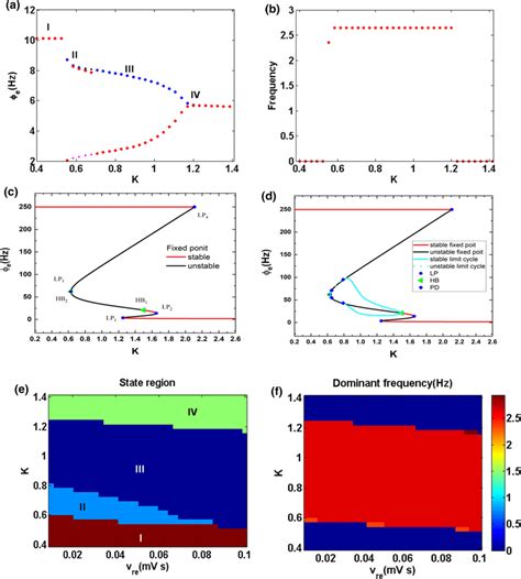 The Function Of Feed Forward Inhibition Microcircuit In Controlling