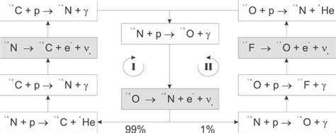 The Cno Cycle Which Contributes About 1 5 To The Energy Release Of Download Scientific