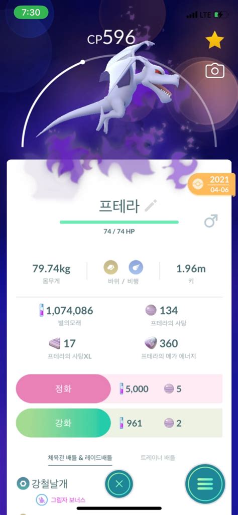 포켓몬고 프테라 레이드 약점 졸업스킬 레이드 공략 추천 포켓몬 39가지 레이드배틀로 프테라 잡아보기 네이버 블로그