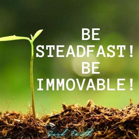 Be Steadfast Be Immovable — Seed Faith