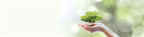 Avenir Recyclage Gestion globale des déchets industriels et confidentiels
