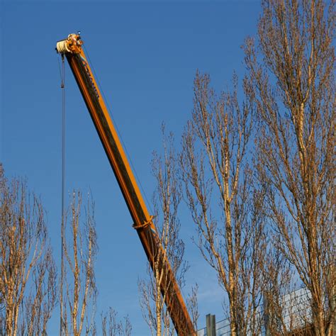 Erection By Grinningphd On Deviantart