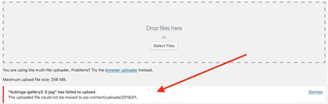 The Uploaded File Could Not Be Moved To Wp Content Indowebsite