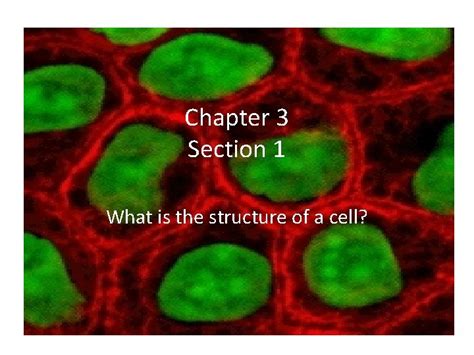 Chapter Section What Is The Structure