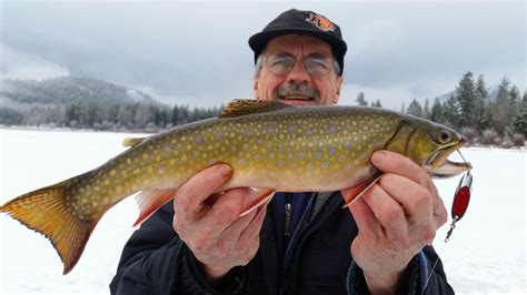 Best Brook Trout Ice Fishing In British Columbia Canada