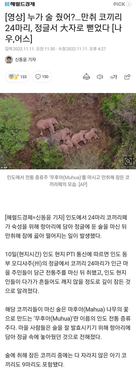 술취한 코끼리 ㄷㄷㄷㄷㄷㄷ 유머 움짤 이슈 에펨코리아