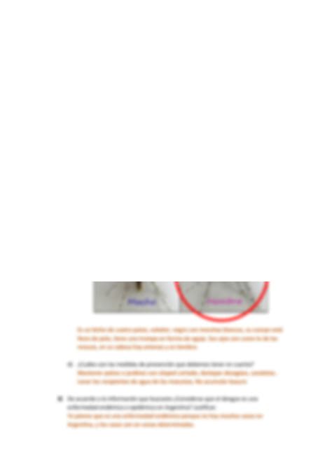 SOLUTION Cs Naturales Dengue Studypool