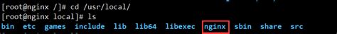 Nginx安装、使用及搭建nginx服务器 Csdn博客