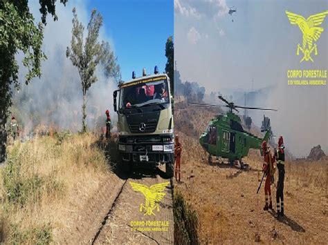 Mattinata Di Incendi In Sardegna Fiamme A Bitti E Bonorva Elicotteri