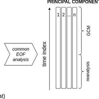 Schematic Representation Of The Common Empirical Orthogonal Function Download Scientific