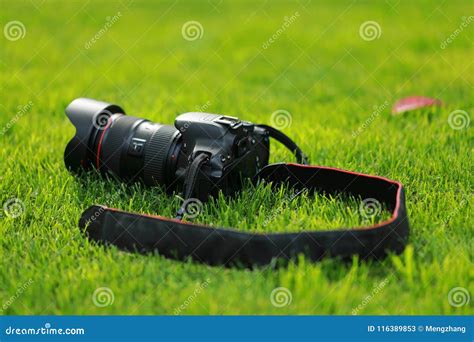 A Black Camera On Green Grass Lawn In Summer Spring Park Garden At