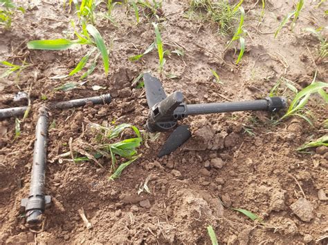 Bsf Recovers Pakistani Drone In Punjabs Amritsar