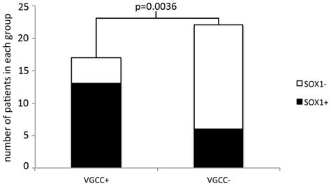 Bar Graph Representation Of The Correlation Between Sox1 Ab And Download Scientific Diagram