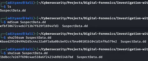 A Guide To Using Autopsy For Digital Investigations Secure Minds
