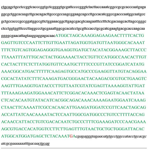 Construction And Use Of A Cupriavidus Necator H16 Soluble Hydrogenase Promoter Psh Fusion To