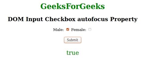 Html Input Checkbox Autofocus用法及代码示例 纯净天空