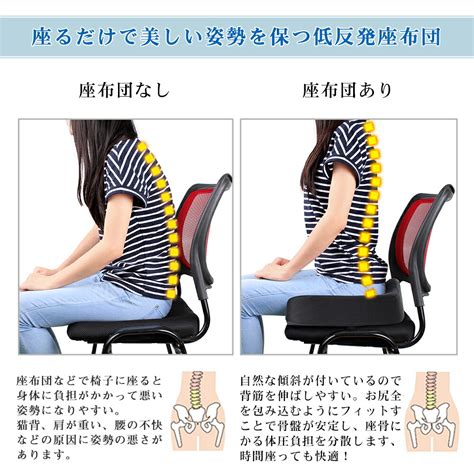 【楽天市場】【楽天1位常連】 チェアパッド 座布団 クッション 低反発 クッション 北欧 椅子用 座布団 椅子用クッション Ikstar 正しい姿勢に導ぐ 骨盤サポート 車用 オフィス用 ざ