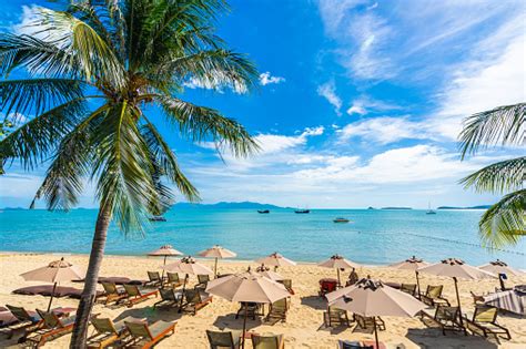 푸른 하늘과 흰색 구름에 코코넛 야자수와 우산과 의자가있는 아름다운 열대 해변 바다와 바다 모리셔스에 대한 스톡 사진 및 기타