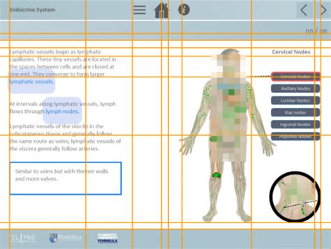 The Design Learning Curve Digital Education Team Blog