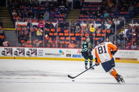Flint Firebirds Holding Fifth Annual Fan Fest