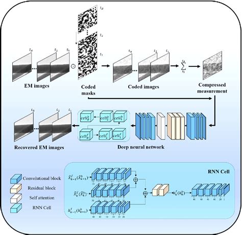 Figure 2 From Super Compression Of Large Electron Microscopy Time