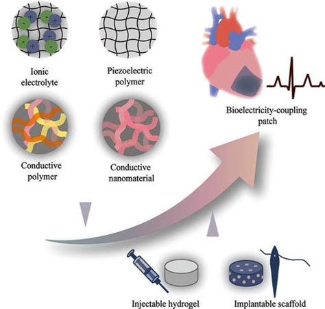 用于修复受损心肌的生物电耦合贴片wires Nanomedicine And Nanobiotechnology X Mol