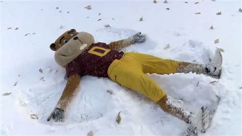 Do Gophers Hibernate In Winter