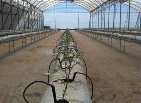 Pesquisa Revela Que 841 Dos Produtores Rurais Usam Tecnologias