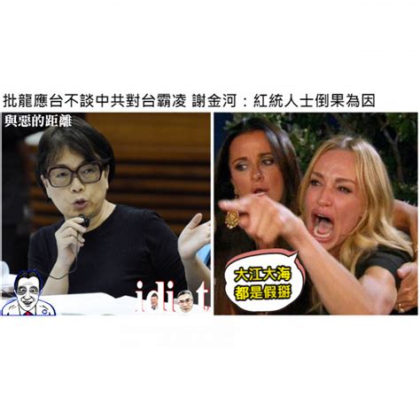 批龍應台不談中共對台霸凌 謝金河：紅統人士倒果為因 大江大海 都是假掰