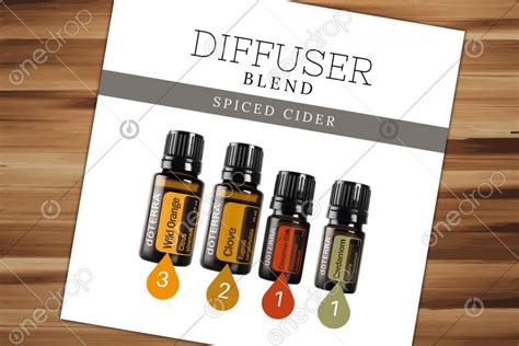 Diffuser Blend I Spiced Cider By Karyne Bradley