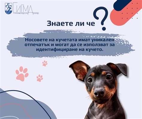 Сигма Провадия ООД