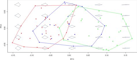Principal Component Analysis Of Procrustes Analysis The Polygons
