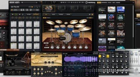 Steinberg Absolute 5 VST Instrument Collection Soft ELicenser Local License Generator B26 WiN