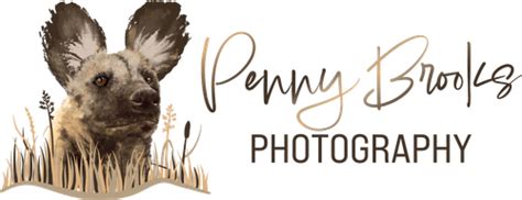 Penny Brooks Photography Portfolio Page