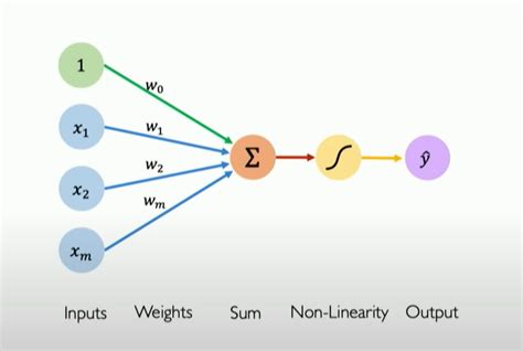Architecture Network Tensorflow Ai Deeplearning Ayush Niroula