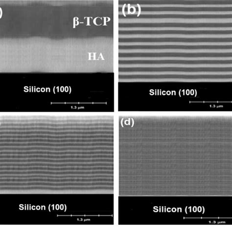 Sem Micrograph Of The Cross Section For [b Tcp Ha]n Multilayer Coatings Download Scientific