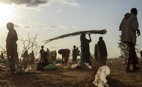 Ilmuwan Perubahan Iklim Memperburuk Kekeringan Di Afrika Timur Koran