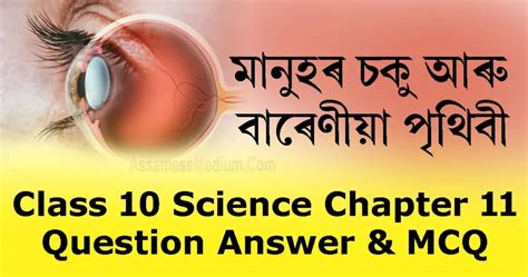 Class 10 Science Chapter 11 Assamese Medium Updated
