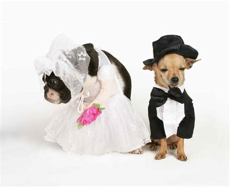 Healing Emotionally From Your Divorce In 21 Days The Ex Factor Ex