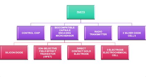 Bhargava Micro Electronic Pill Seminar Report