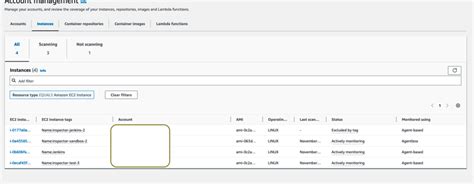 Amazon Inspector Explained Boosting Cloud Security For Your Aws Workloads Dev Community