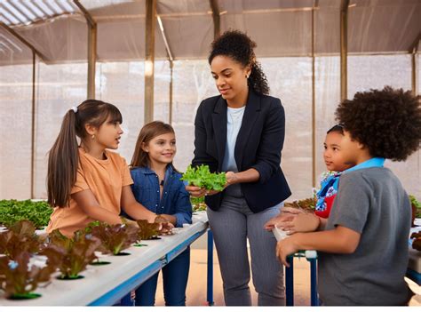 Grades 9 12 Hydroponics Agriculture Science I Nextwavestem